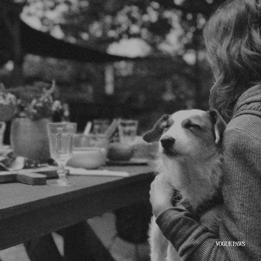 What to give someone who lost a pet? – Vogue Paws