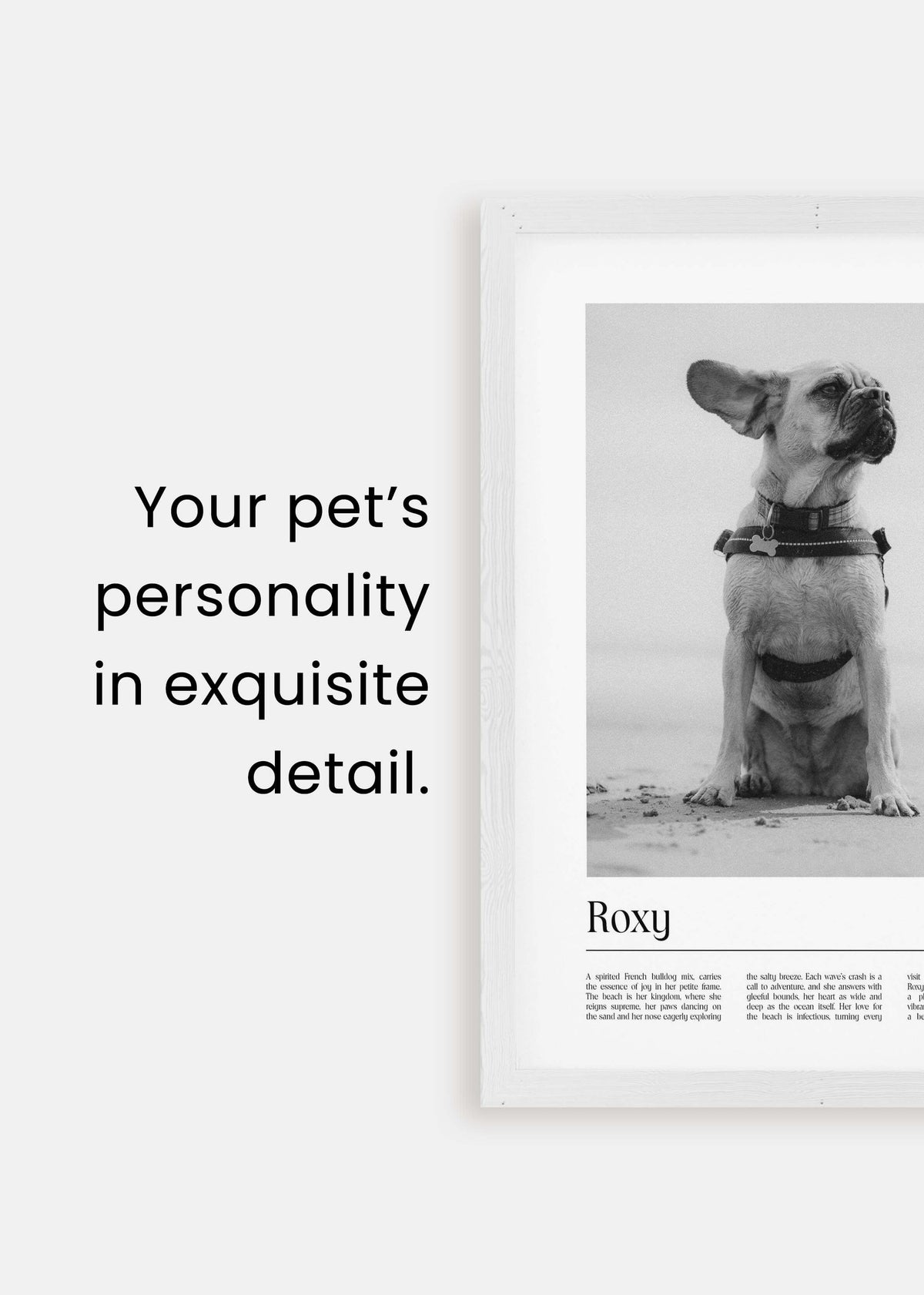 Vogue California - Custom Pet Poster – Vogue Paws
