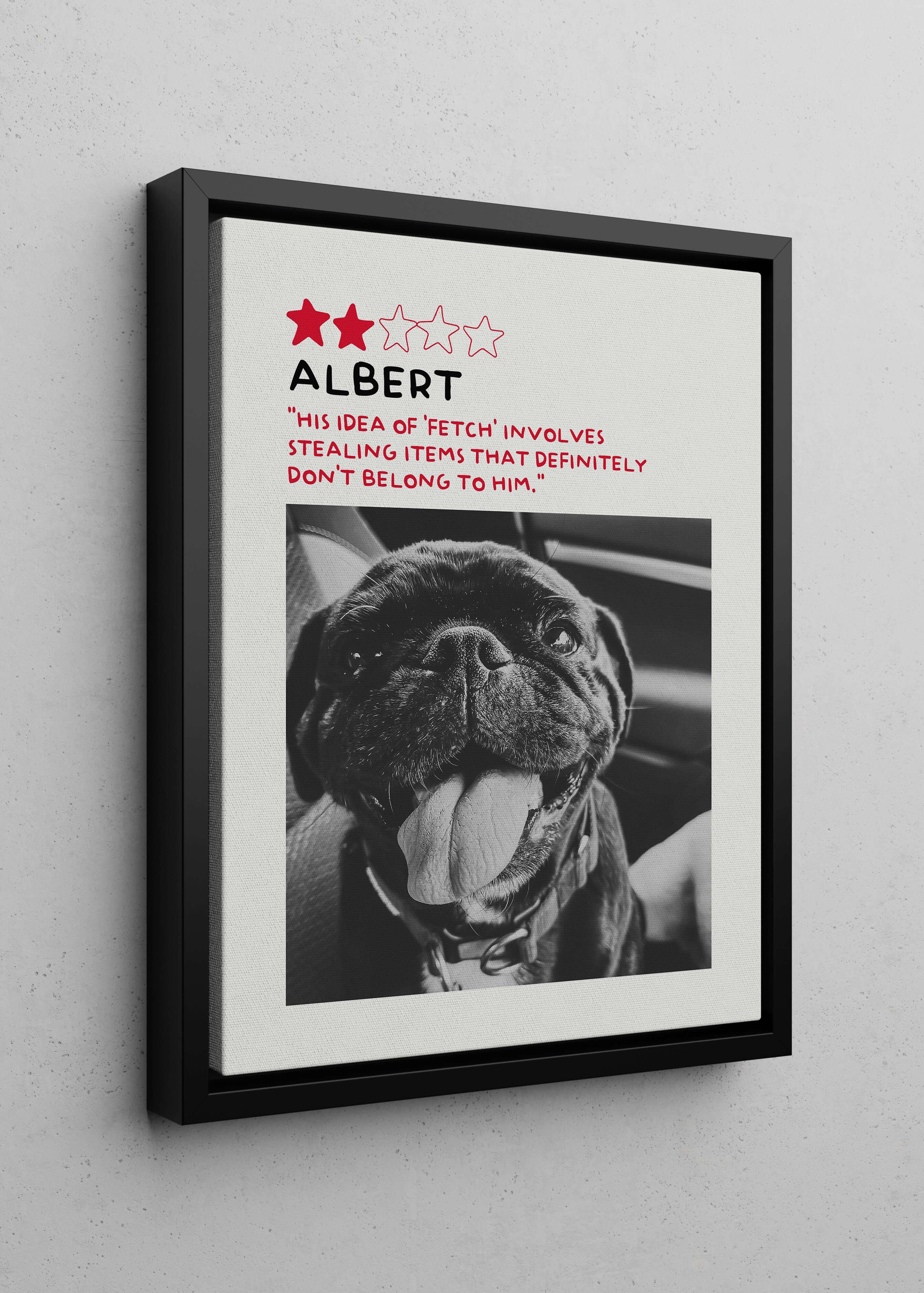 Vogue 5-Star Review - Custom Pet Canvas – Vogue Paws