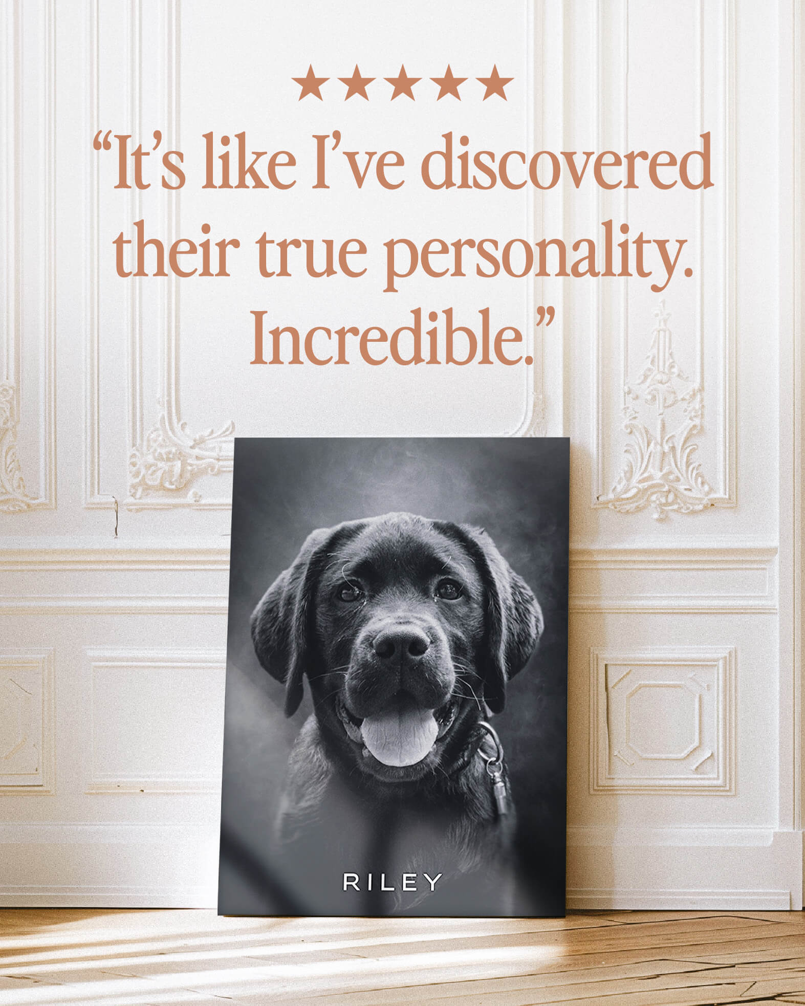 Custom Pet Portraits & Personalized Pet Photo Gifts for Every Occasion ...