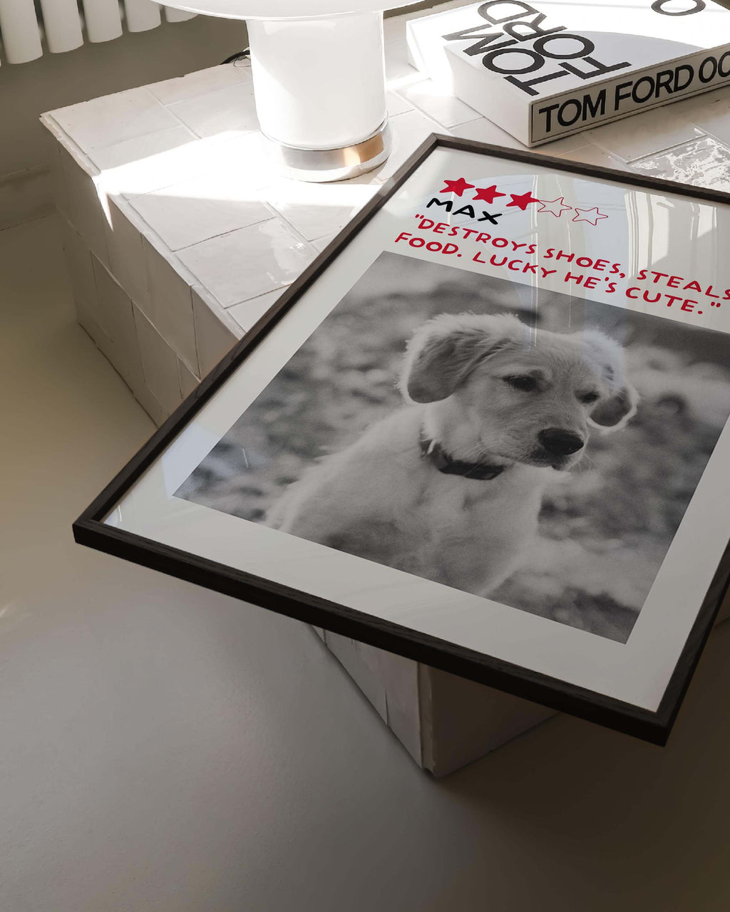 Vogue Paws Custom Pet Photo Prints