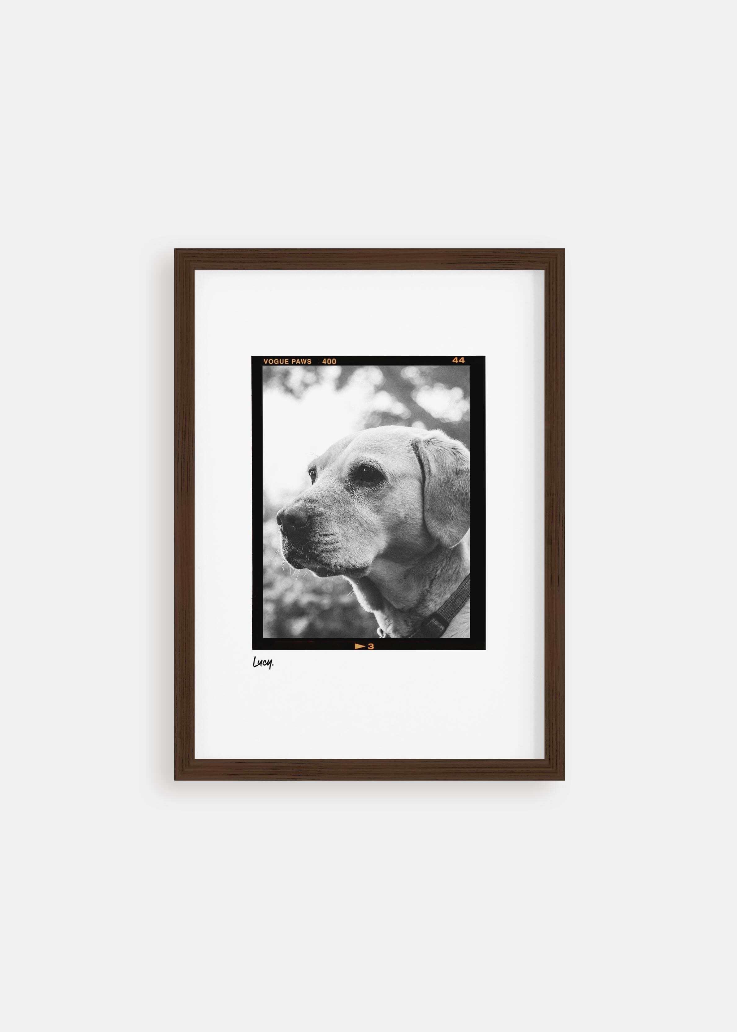 Vogue Paws Film Negative - Custom Pet Poster