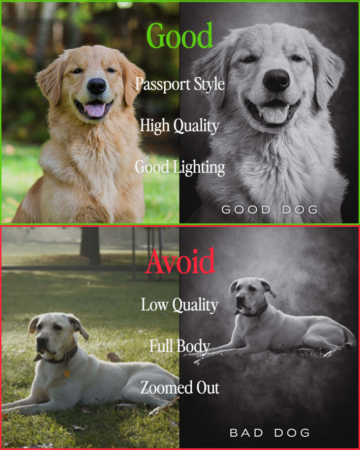 The Best Dog Mom Gifts by Vogue Paws