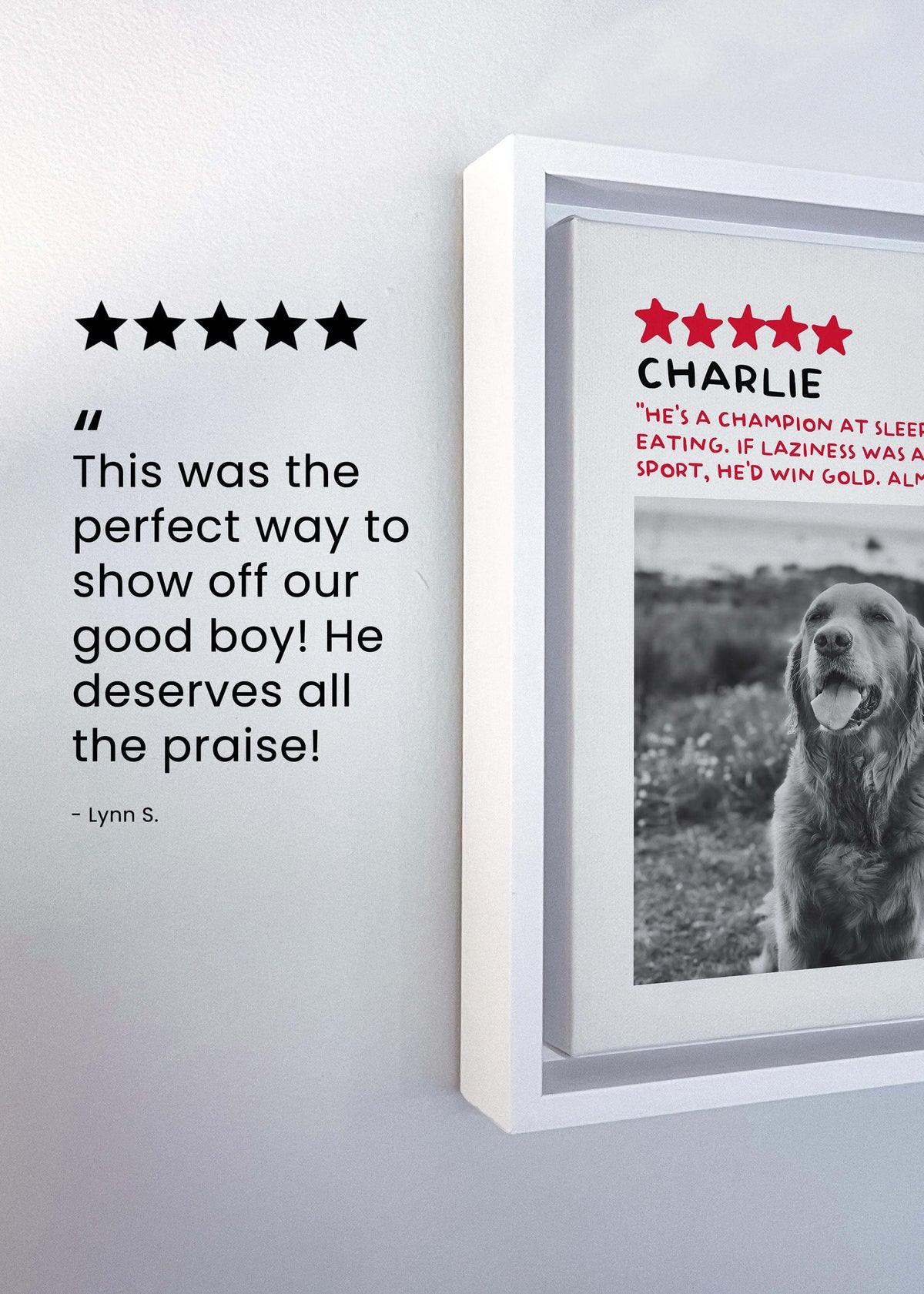 Vogue 5-Star Review - Custom Pet Canvas – Vogue Paws